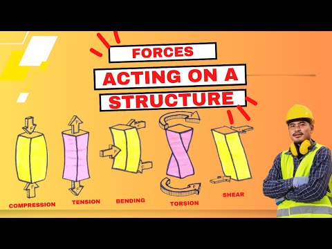 5 Internal Forces in a Structure (You MUST know)