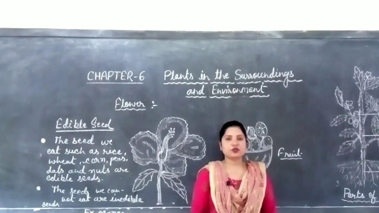 Class-4 SCIENCE, CHAPTER-6 (PLANTS IN THE SURROUNDINGS AND ENVIRONMENT)