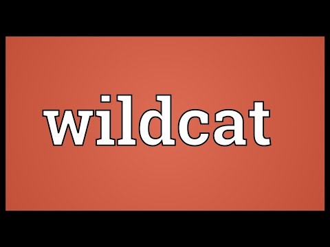 Wildcat Meaning