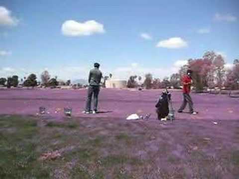Indian's Golfing