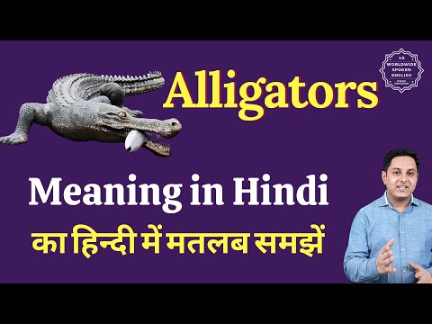 Alligators meaning in Hindi | Alligators ka matlab kya hota hai
