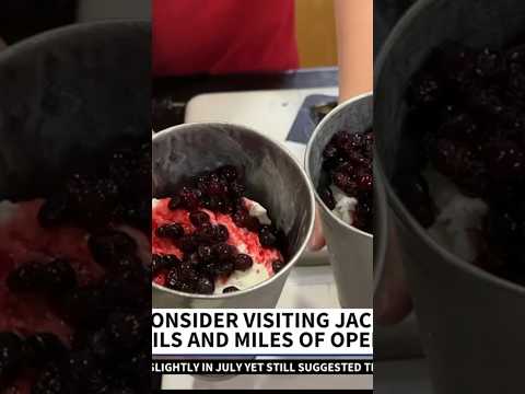 Huckleberry shakes in Teton Valley for Scripps News