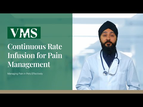 Continuous Rate Infusion (CRI) for Veterinary Pain Management