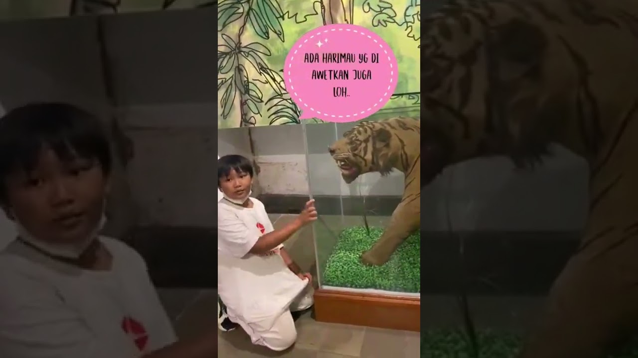 Study Tour ke Museum Sejarah Alam Nasional Indonesia.. Belajar sejarah yg asik dan happy 😁