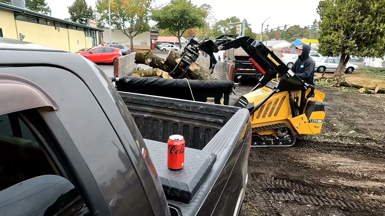 Tim's Tree Service, thanks for black walnut.