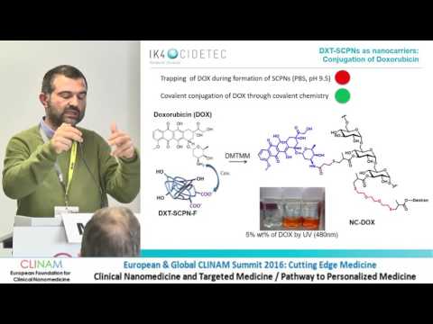 Doxorubicin‐Functionalized Dextran‐Based Single Chain Polymeric Nanoparticles as New Potential...