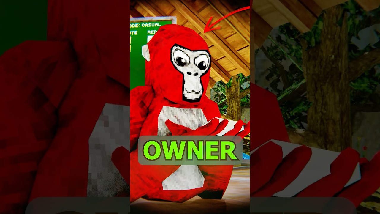 You Own Gorilla Tag Now… #gorillatag