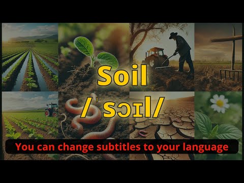 Soil meaning with 5 examples