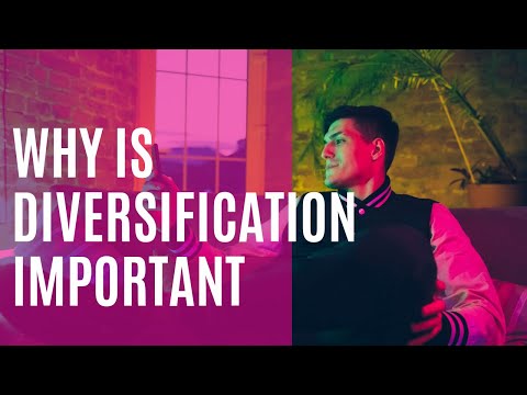 Why is Diversification important for your Investment Portfolio đŸ¤‘