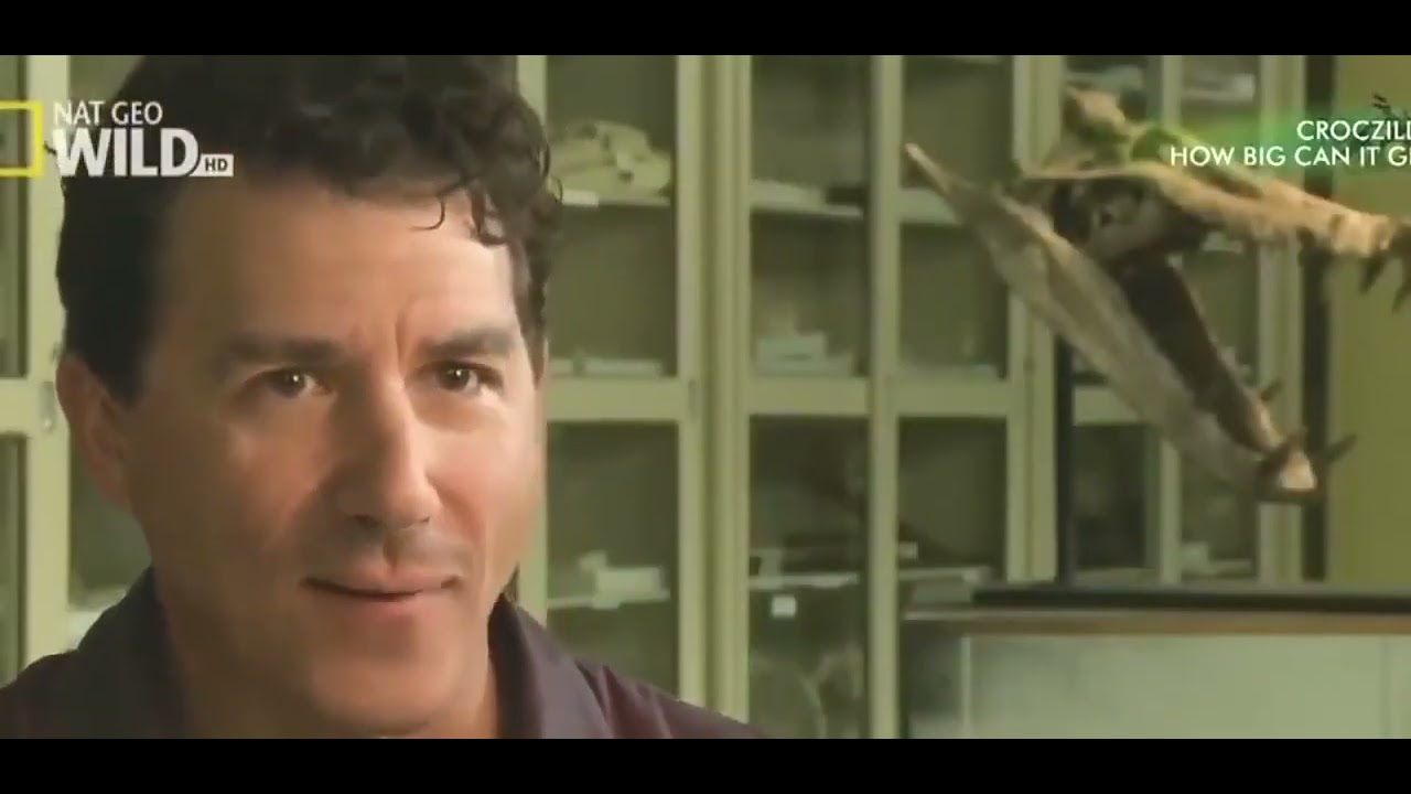 National geographic - super giant Crocodile -Documentary