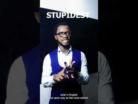 Adjectives you dont know exist- Stupider, Stupidest, wickeder, wickedest.