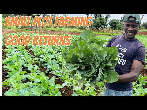 Discover the Power of Small-Scale Farming with good returns
