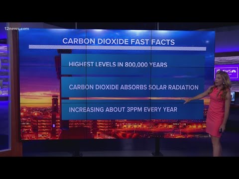 Carbon dioxide levels in the atmosphere are the highest in human history, according to report