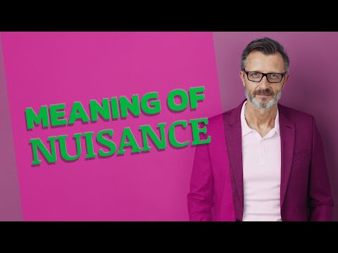 Nuisance | Definition of nuisance 📖