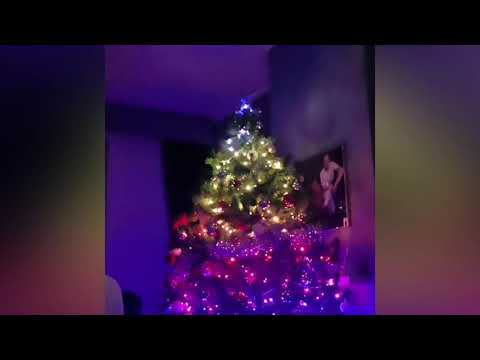 My home twinkly Christmas Tree 🎄 view