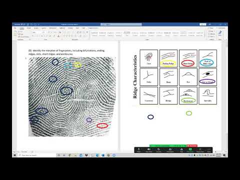 Reteach Lesson, Forensic Science: Fingerprint Minutiae, 12th grade, Charlene Willingham