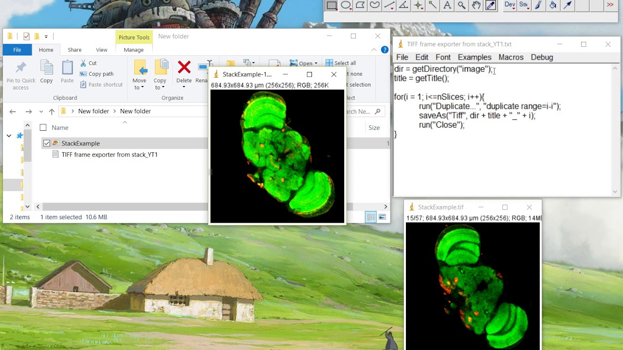 ImageJ Tutorial  How to export a stack frame by frame