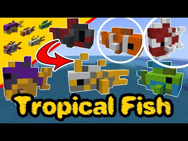 5 best Minecraft tropical build designs