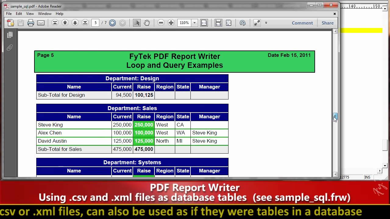 FyTek's PDF Report Writer Part II - Database connections