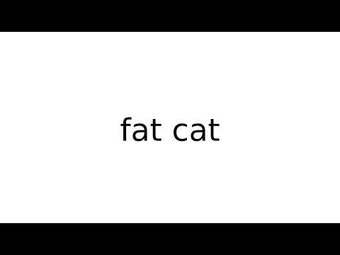 fat cat #slang #slangs #english #meaning #meanings #definition #definitions