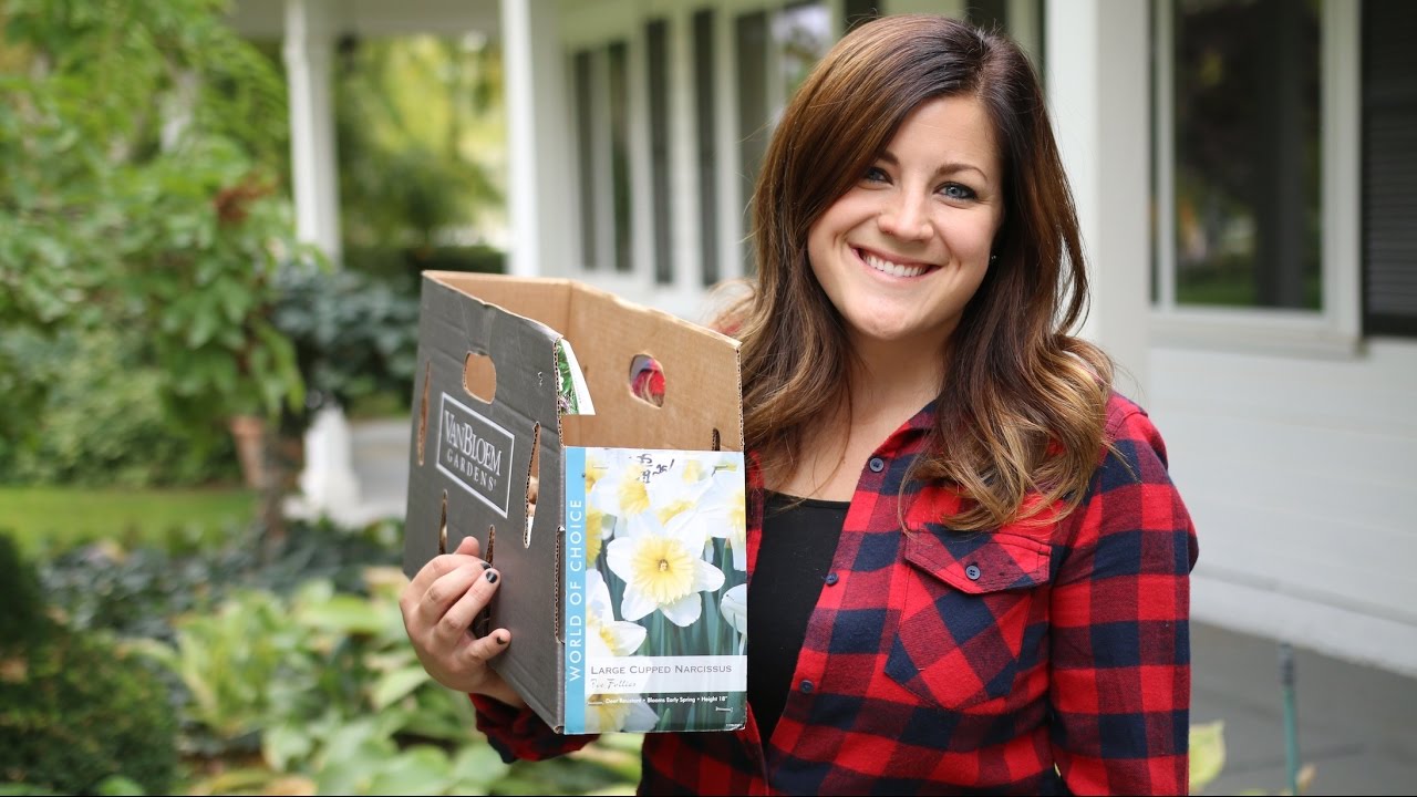 Tips for Planting Bulbs // Garden Answer