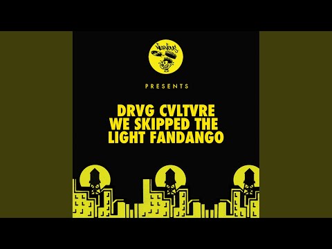We Skipped The Light Fandango