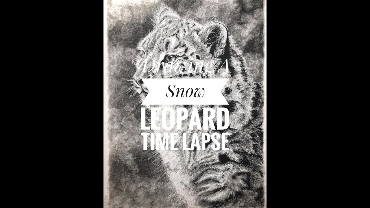Drawing A Snow Leopard Time Lapse