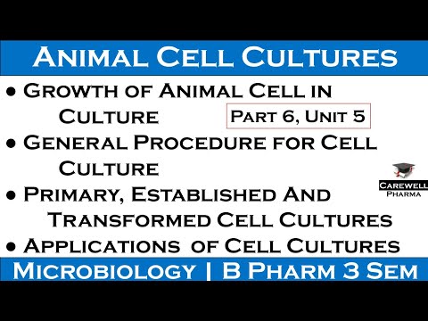 growth of animal cells in culture | procedure of animal cell culture | applications of cell culture
