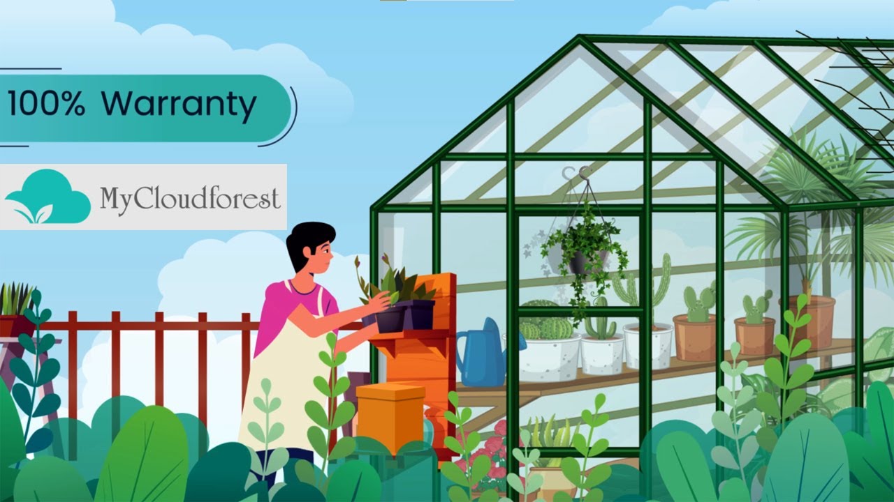 2D Animation Explainer Video | My Cloud Forest | Doodle Mango