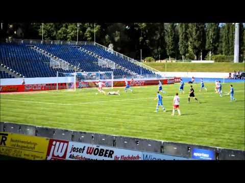 SC Wiener Neustadt - FC Red Bull Salzburg | Tor von Alan