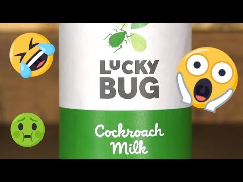 Try new Cockroach Milk! | Tom's Nature-up-close Photography and ...