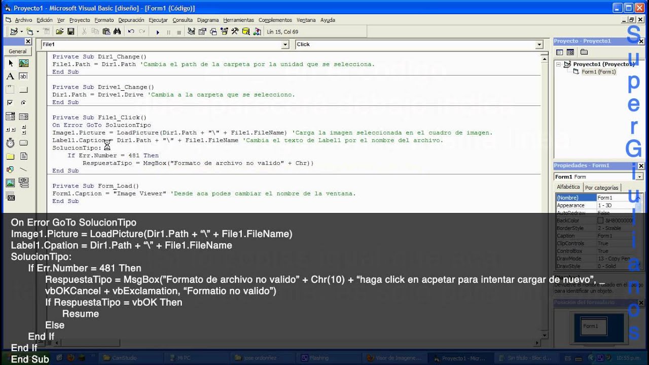 Control de Errores: [Error 481] Image Viewer Visual Basic 6.0