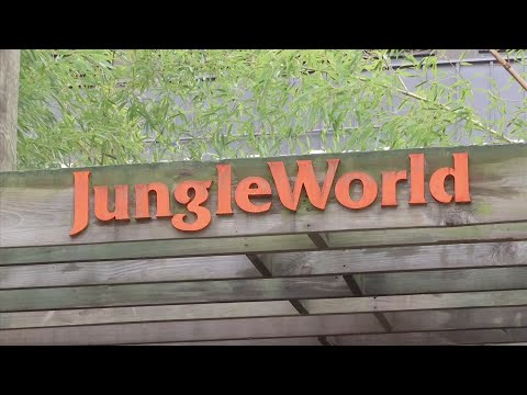 Behind-the-scenes with Animal Planet's 'The Zoo'