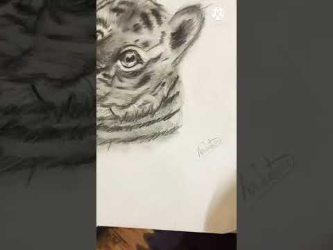 REALISTIC CUTE BABY TIGER PENCIL SKETCH| ARTEATURE #shorts
