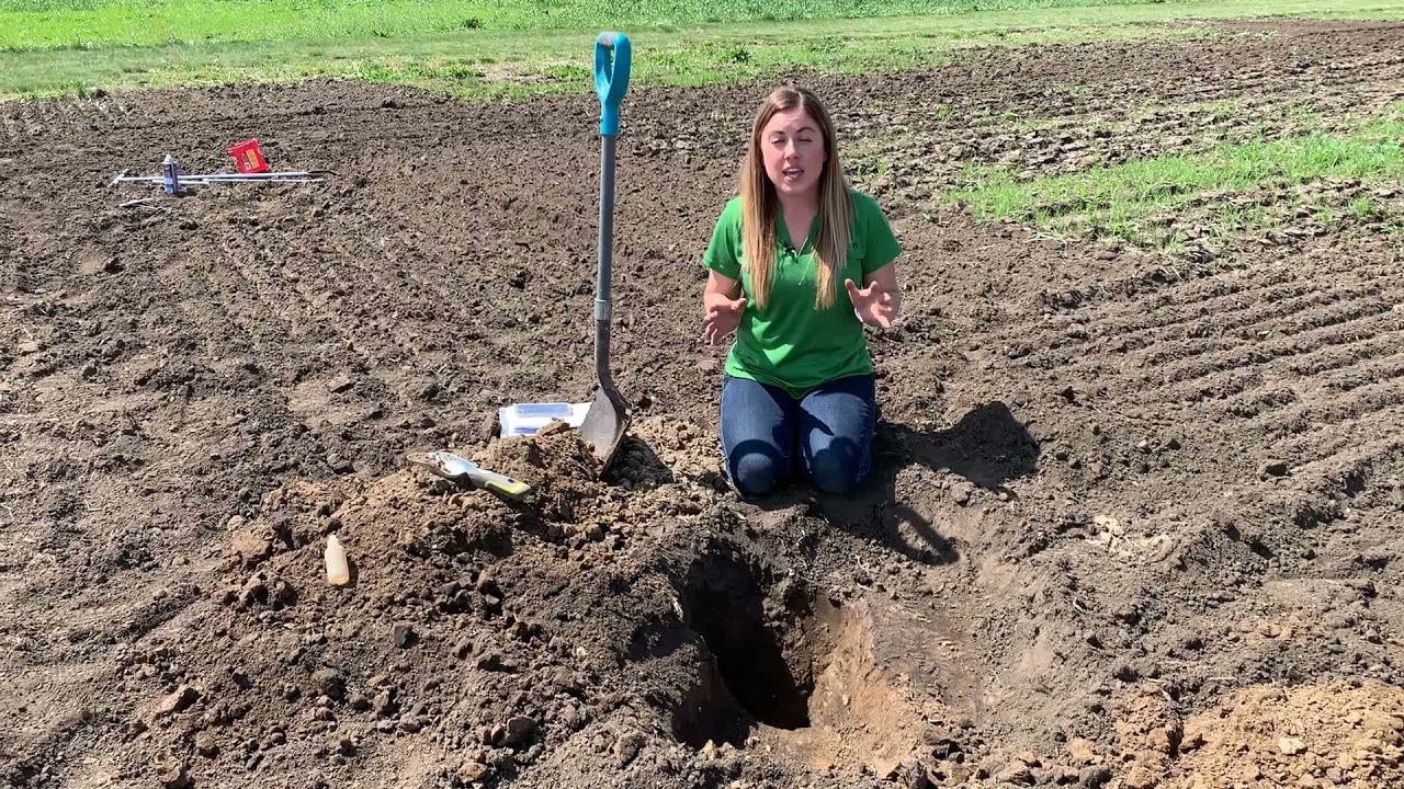 Agronomy Minute - Soil Variability
