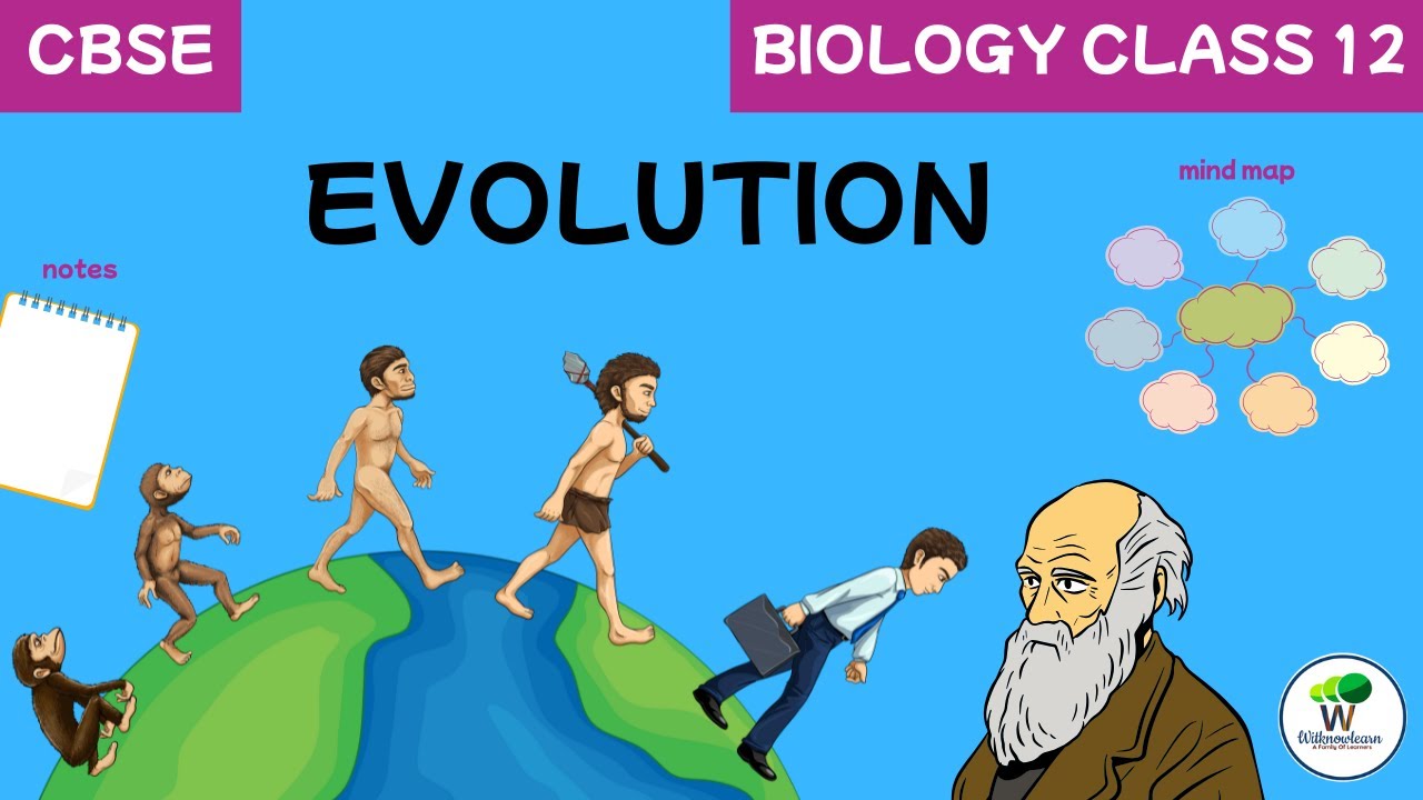 Class 12 Biology Chapter 6 Evolution | Mind map, Notes and Worksheets