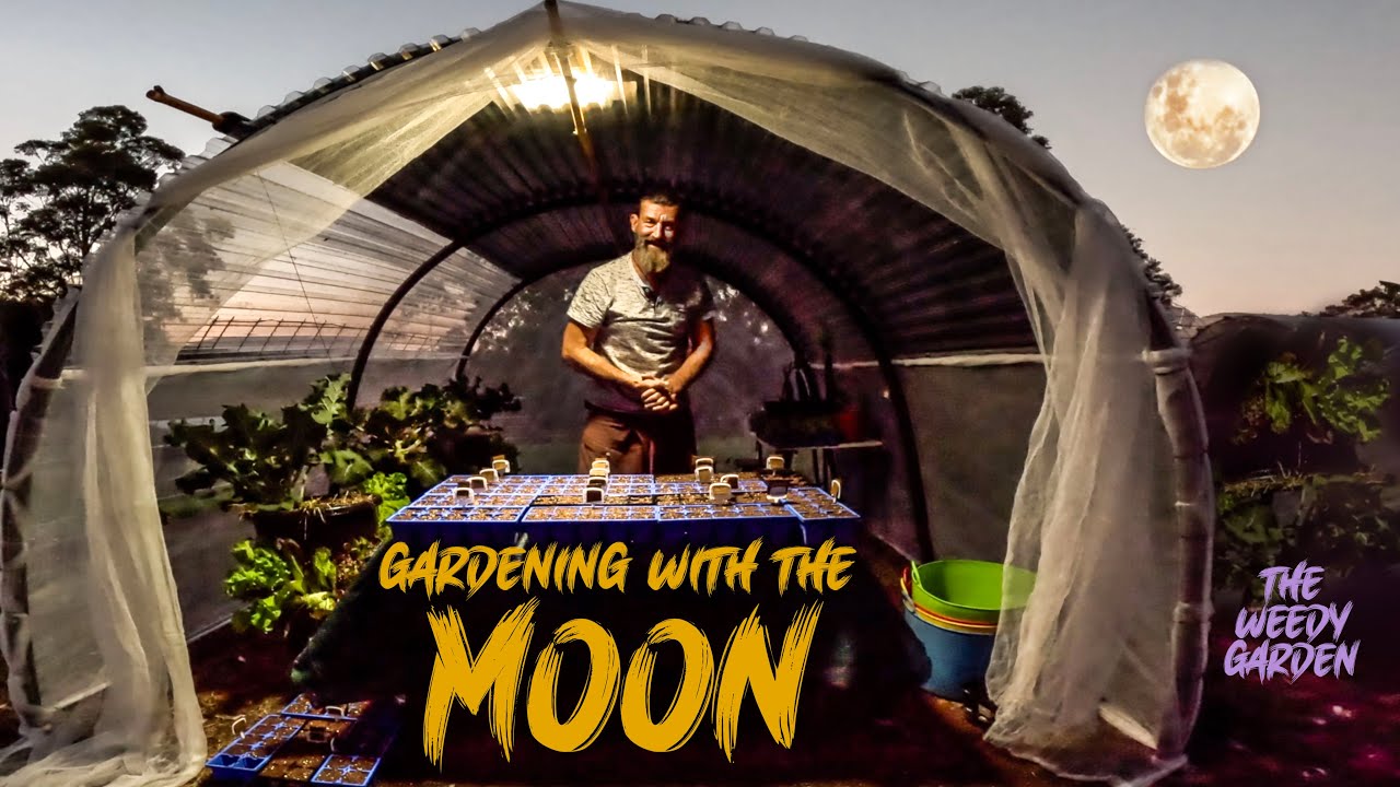 Moon Planting And Gardening Guide | Moon Planting: Unlocking the Full Potential of Your Seeds