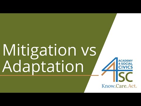 Mitigation vs Adaptation: The Before and After of Climate Change Policy - Environment Series | A...