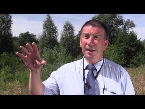 NHS Forest