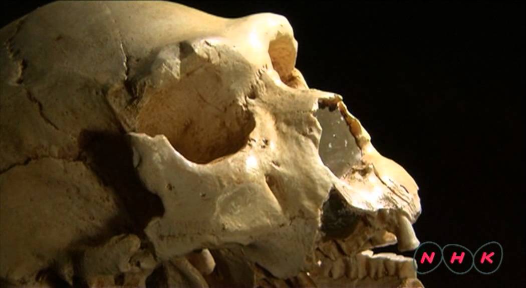 Archaeological Site of Atapuerca (UNESCO/NHK)
