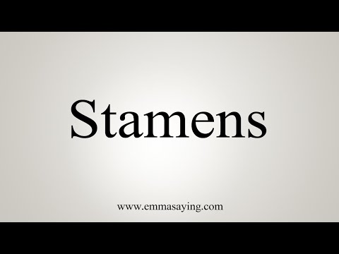 How To Say Stamens