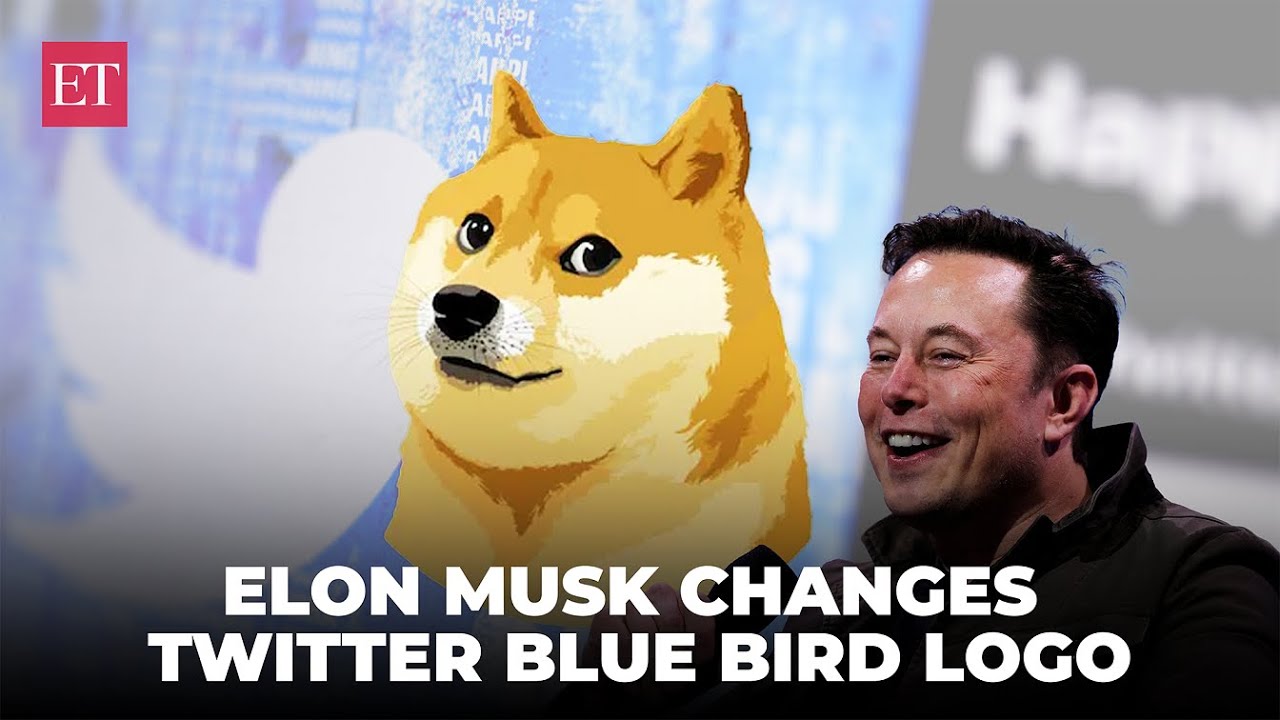 Elon Musk changes twitter blue bird logo: Is Dogecoin the reason?
