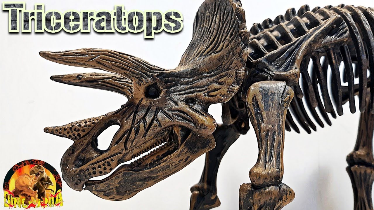 Dinomania Triceratops Skeleton Replica Review!!!
