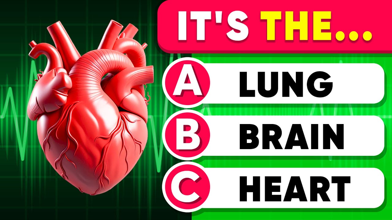 Can You Pass This Human Body Quiz? 🧠 Take This Question Anatomy Quiz! 📚