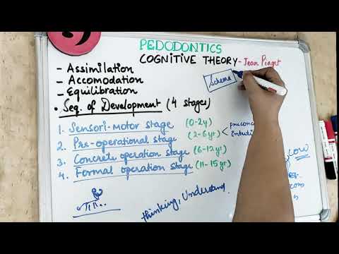 piaget cognitive development theory I dental lectures