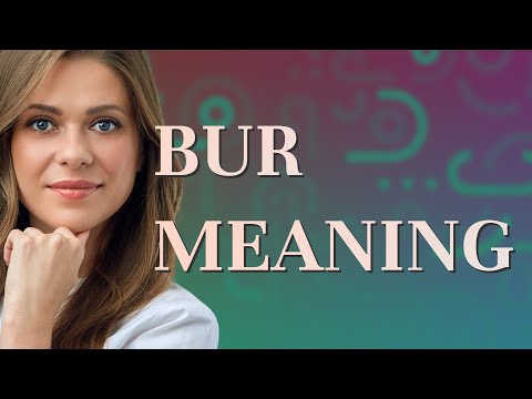 Bur | meaning of Bur
