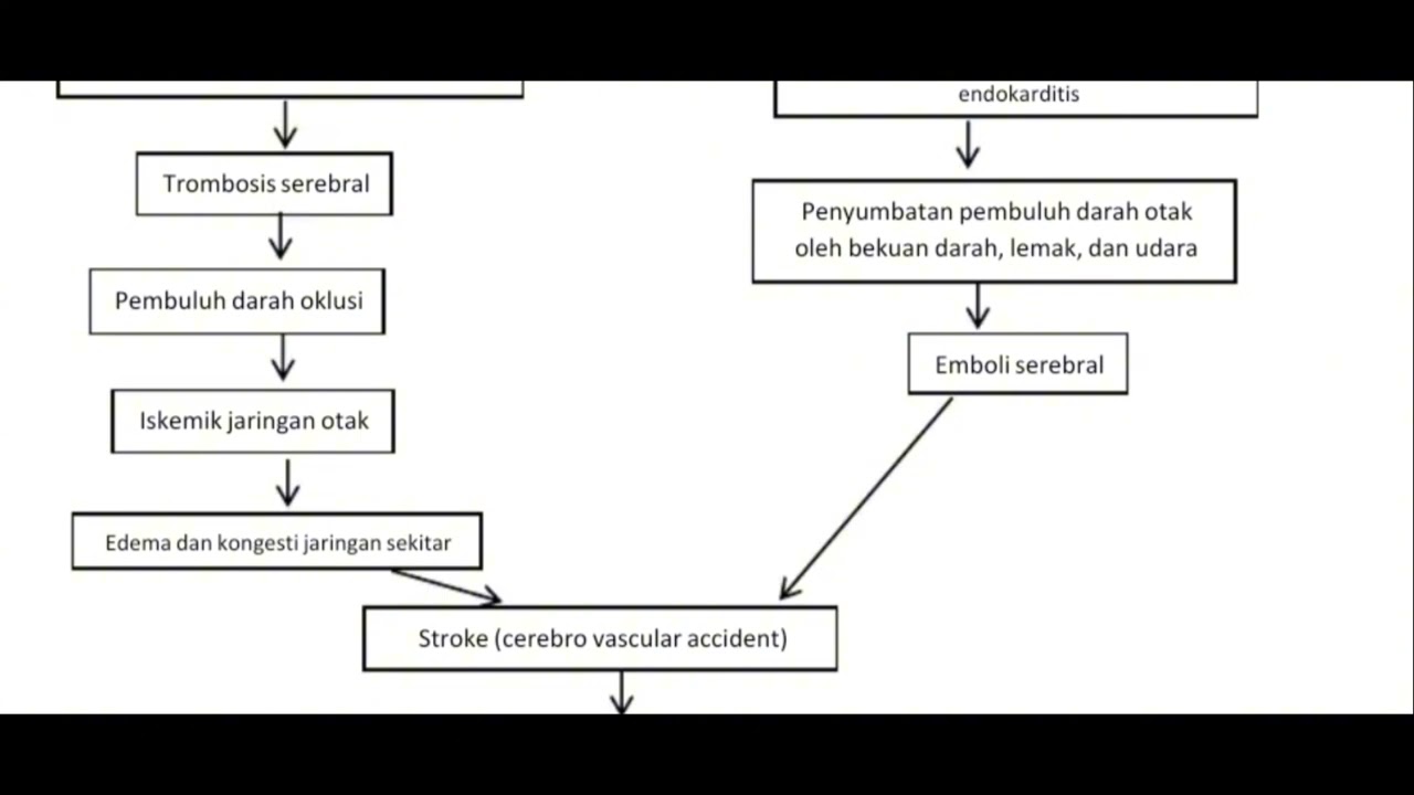 TUGAS CARA MEMBACA PATHWAY PENYAKIT matkul KEPERAWATAN DASAR oleh SRI WAHYUNI TK 2B