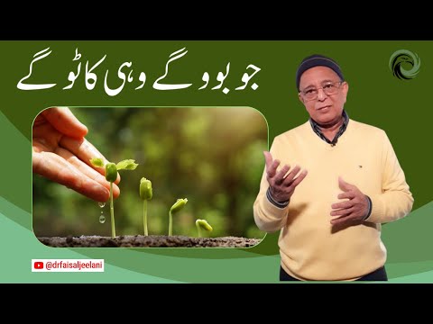 What You Sow So Shall You Reap | جو بوو گے وہی کاٹو گے | Urdu | हिंदी