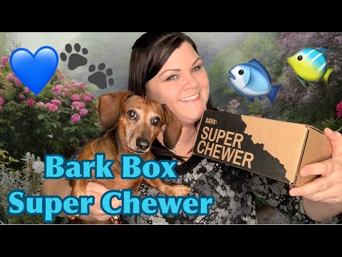 Bark Box 🐾 Super Chewer May Unboxing 🐾