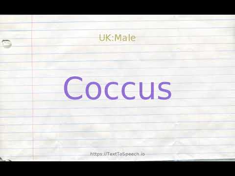 How to pronounce coccus